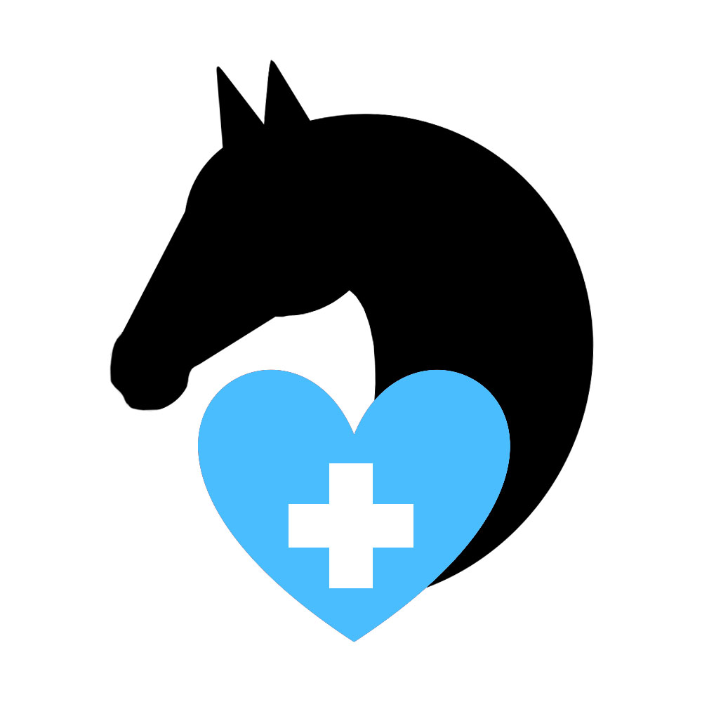 EquiServ - Pferdeschur - Bemer Therapie - Flugbegleitung